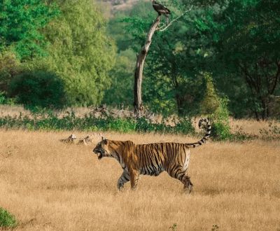 Seabird Tourists Centre | ONLINE BUS TICKET BOOKINGS & TRAVEL SERVICES